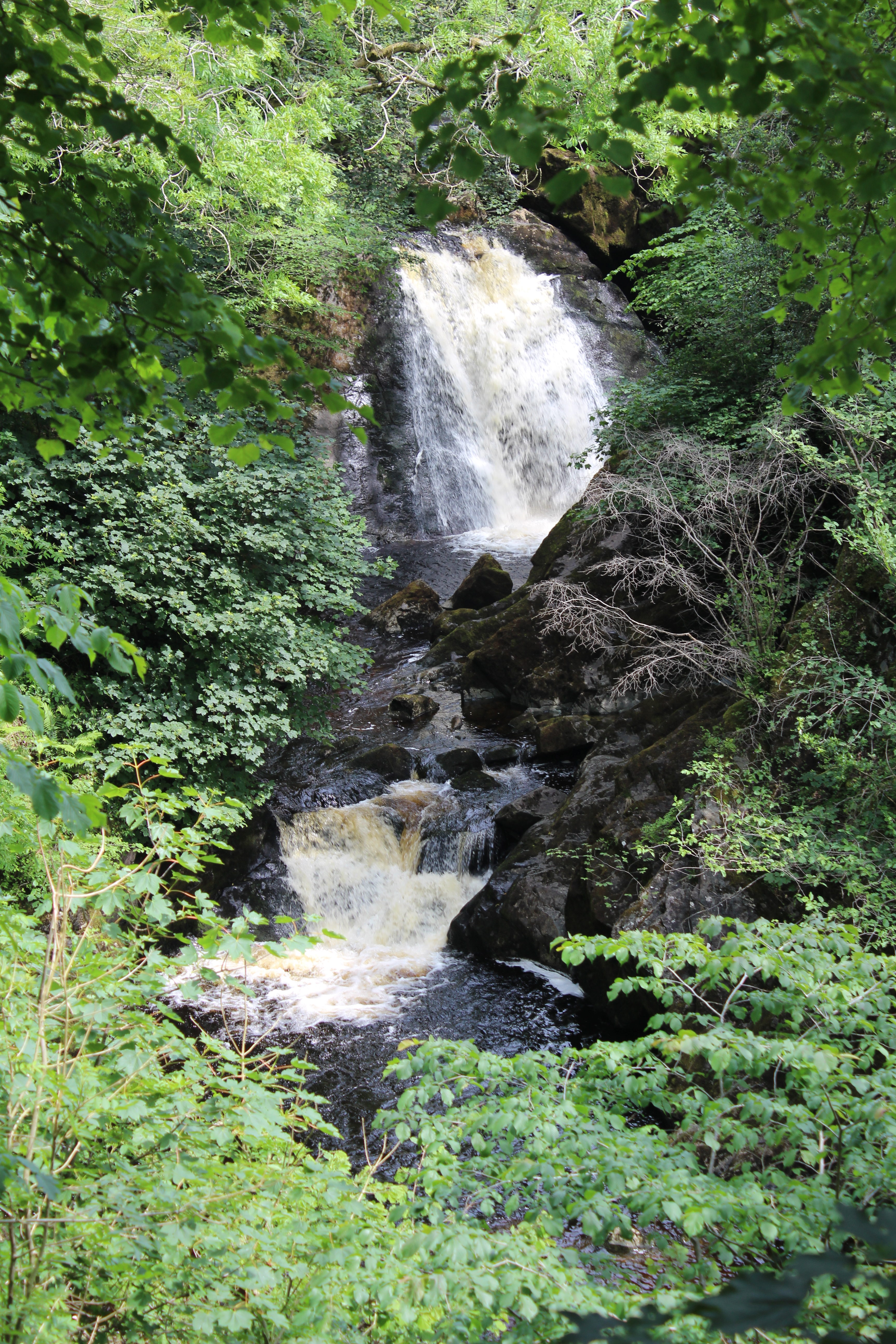 Ingleton Waterfalls Trail | Postcards From Here and There